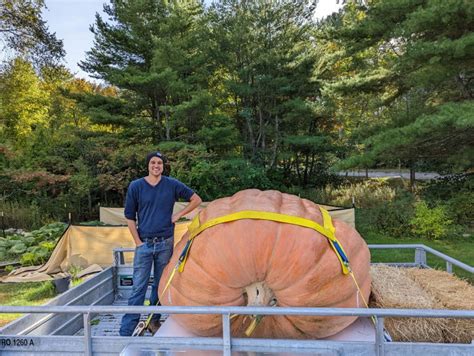 1 2 тонн хулуу ургуулж шинэ дээд амжилт тогтоожээ