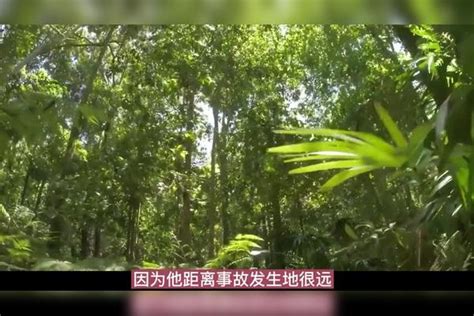 中国秦岭惊现“神秘物种”，全世界仅此一只，珍稀程度堪比大熊猫物种全世界秦岭