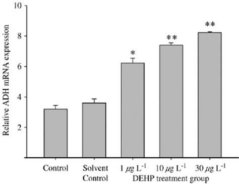 Analysis Of Adh Enzyme Activity And Gene Expression During Development Download Scientific