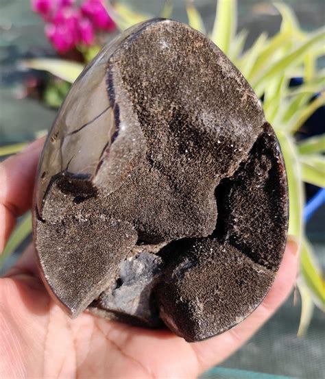 600gr Wild Septaria Geode Crystallized Eggs Magnificent Pieces Rare
