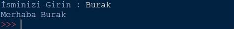 python kod Örnekleri 100 Örnek web tasarım and programlama