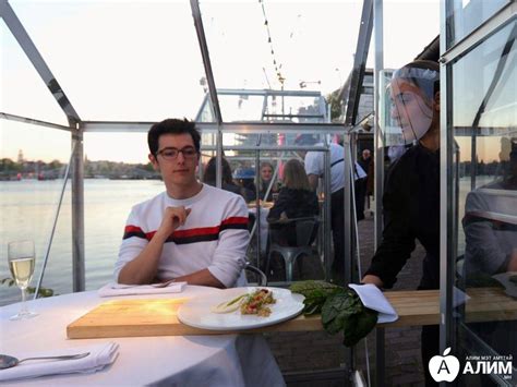 Цар тахлын үеийн “шилэн бүхээгний” үйлчилгээний хэлбэрийг Нидерландын зоогийн газруудад нэвтрүүлжээ