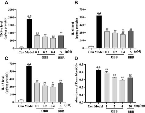 Antiinflammatory Activation Of Phellodendri Chinensis Cortex Dddt