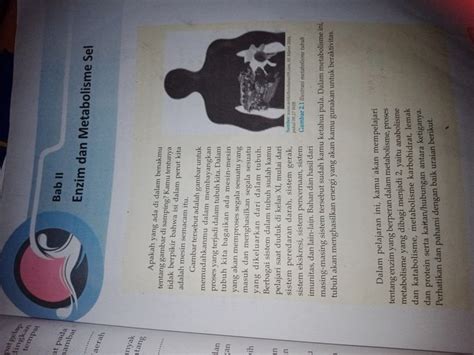 Pin Oleh Ranti Sriwani Di Bab 2 Enzim Dan Metabolisme Sel Metabolisme