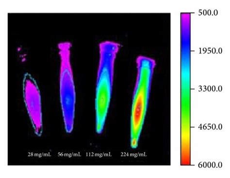 Auncs Sio2 Fa Nanoprobes For Fluorescence Imaging A In Vitro Download Scientific Diagram