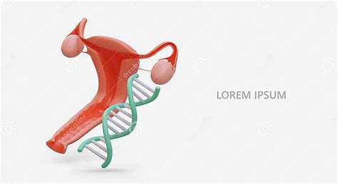 3d Female Internal Organs Dna Spiral Analyzes Stock Vector