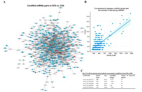 Prediction Of Putative Circrna Mirna Interaction Pairs From D35 To D70 Download Scientific