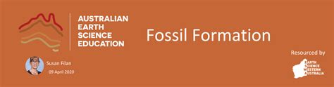 Fossil Formation