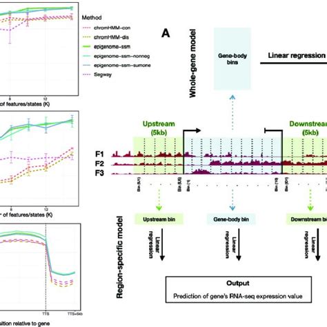 Overview Of Continuous Chromatin State Feature Annotation And Download Scientific Diagram