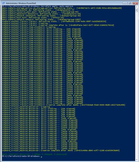 Install Ms Dns Through Guest Customizations With Terraform