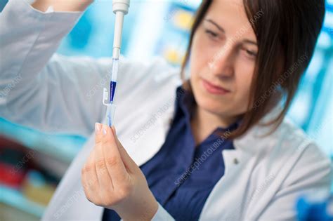 Girl Using Pipette Stock Image F017 2213 Science Photo Library