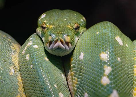 Microsoft Learn Python Fotos De Stock Imágenes De Microsoft Learn Python Sin Royalties