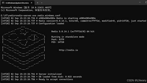 nginx，redis，后端：配置成服务自启 nginx做成服务 csdn博客