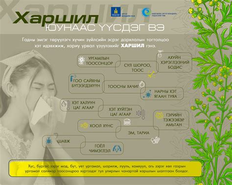 Улирлын чанартай харшлын үе Хан Уул эрүүл мэндийн төв