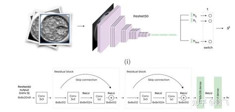 人工智能技术与辅助生殖胚胎筛选系列之二 知乎