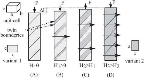 Explanation Of Magnetic Shape Memory Effect Reproduced From 1 With