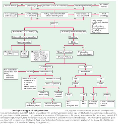 Hypokalemia Approach