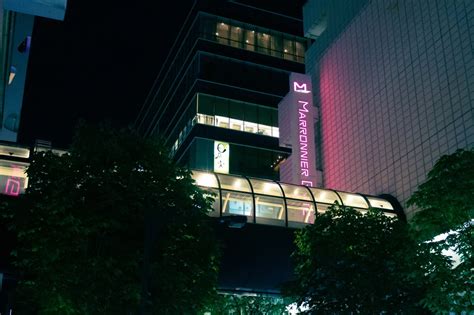 Papi Princess On Tumblr