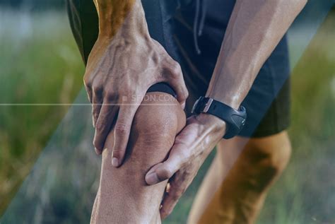 4 Cedera Ligamen Lutut Acl Mcl Pcl Lcl Sfidn Science From Indonesia Articles