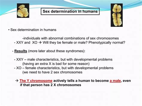 Genetics Lecture 2 Pw 2012 PPT