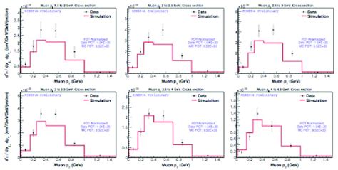 Double Differential Muon Neutrino Charged Current Quasi Elastic