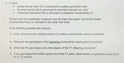 solved 1 in corn purple kernel color p is dominant to