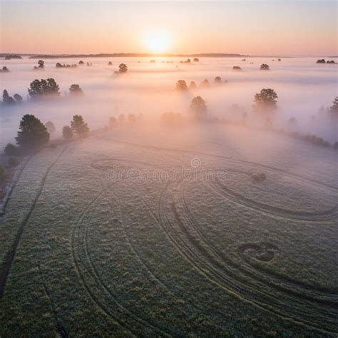 Misty Sunrise Over A Grassy Field With Visible Patterns And Tire Tracks