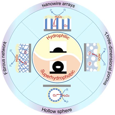 Bioassay Systems With Solidliquidair Triphase Interface Four