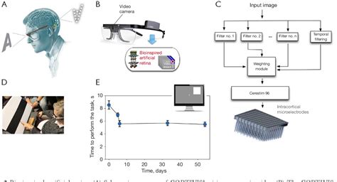 Figure 1 From A Narrative Review Of Cortical Visual Prosthesis Systems The Latest Progress And