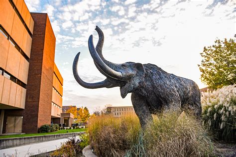 What Does Data Analytics Look Like In Your Day To Alteryx Community