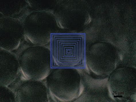 Insights Toward Standardization Of The Analysis Of Microplastics By Infrared Microscopy