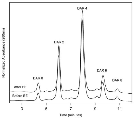 Drug To Antibody Ratio Boc Sciences