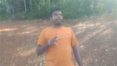 කුරුදු වලට තැනක් ගන්න නිසි අාකරයට මේ දේට තැනක් දෙන්න Youtube