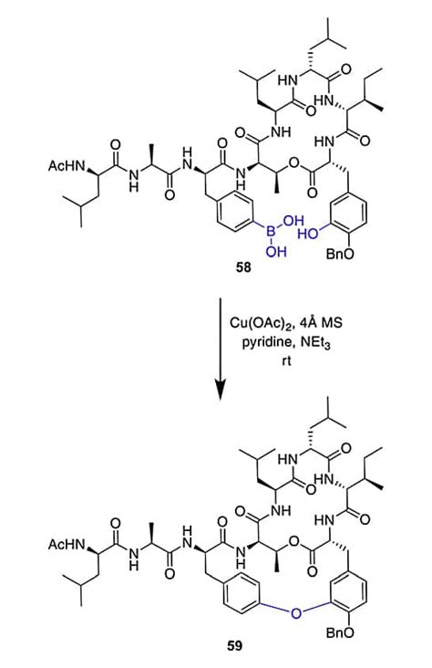 Peptide Macrocyclization Strategies Macro Cyclic Peptides Qyaobio