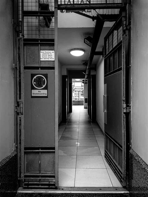 건물 건축 교육 깨끗한 단순한 대칭 도시의 디자인 목조 목조 문 문 반사 바닥 밝은 복도 빈 수직 쐈어 시설 실내 원근감 인테리어 자연광