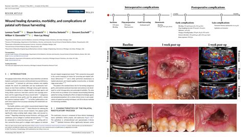 Management And Prevention Of Soft Tissue Complications Around Teeth And Implants Miami Institute