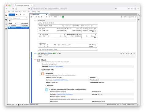 Coiled — Rapids Deployment Documentation Documentation