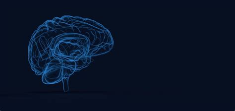 How To Use Visualization Techniques