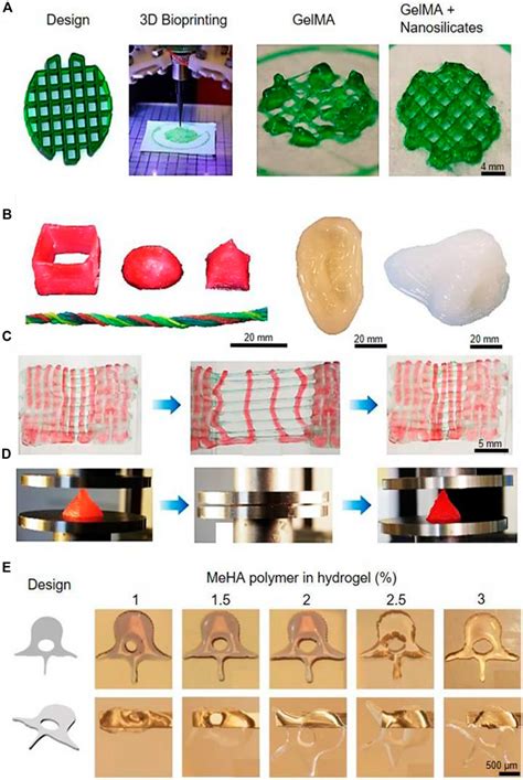 Frontiers 3d Printing Of Bone And Cartilage With Polymer Materials