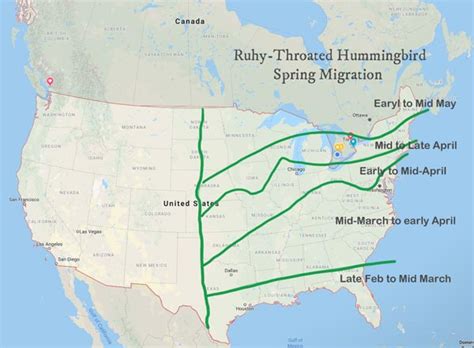 Hummingbird Migration Map Find Out When To Expect Them Empress Of Dirt