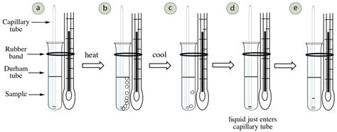 62b Step By Step Procedures For Boiling Point Determination Chemistry Libretexts