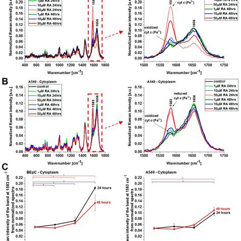 Normalized Average Raman Spectra Of Mitochondria Of Human Bronchial Download Scientific Diagram