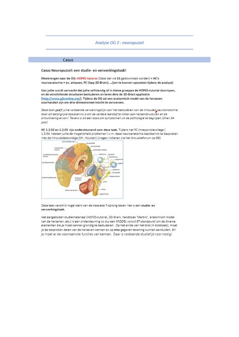 Analyse Og 2 Samenvatting Blok 1 2 Analyse Og 2 Neuropuzzel Casus
