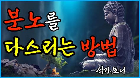 석가모니 슬기롭게 분노를 다스리는 방법ㅣ분노 다스리는 방법ㅣ감정에 쉽게 휘둘리는 당신이 꼭 들어야 할 조언ㅣ부처님 Youtube