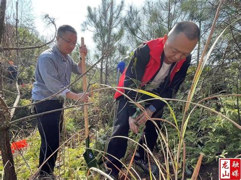 石羔街道开展义务植树志愿服务活动