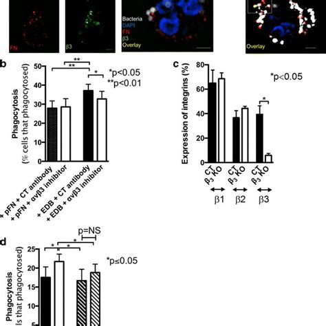 Edb Fibronectin Enhances Phagocytosis Through Activating β3 Integrin A