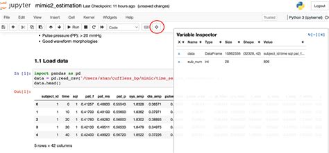 Variable Inspector In Jupyter Notebook Or Jupyterlab Mac Os By Shan