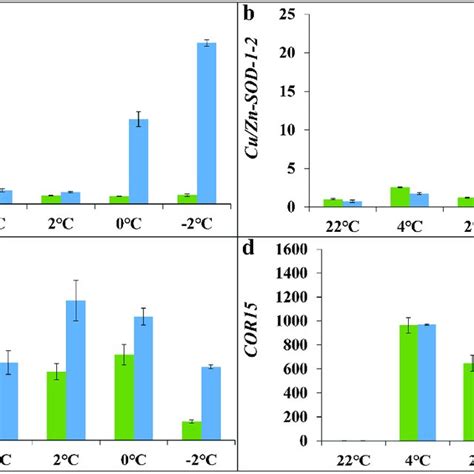 Effects Of Melatonin Mel On The Gene Expression Under Cold Stress Download Scientific