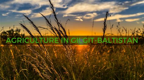 Agriculture In Gilgit Baltistan