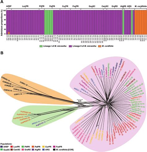 Genetic Structure Analysis And Phylogenetic Relationships Of 74